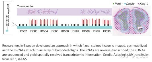 “空间转录组技术”被Nature Methods评为2020年年度技术！ - 知乎