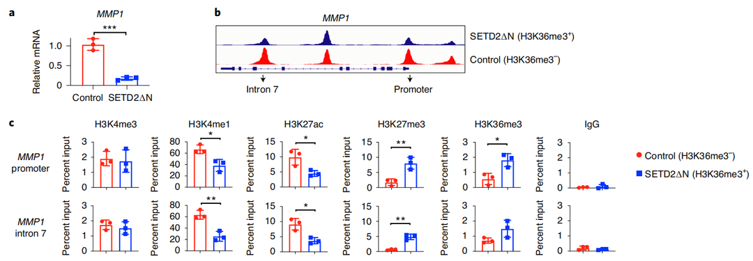 SETD2的缺失到底如何促进癌细胞的转移？ - 知乎