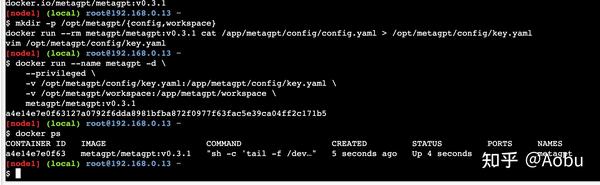 MetaGPT快速使用教程 - 知乎