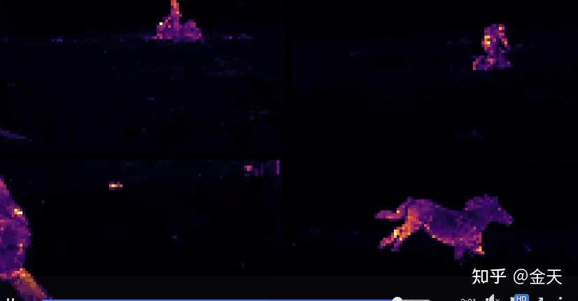 聊一聊最近比较火的DINO,facebook出品 - 知乎