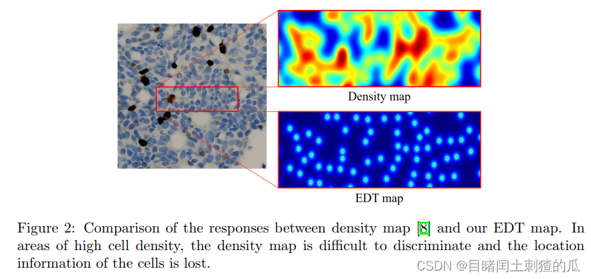 用于细胞定位的指数距离变换图--Exponential Distance Transform Maps for Cell ...