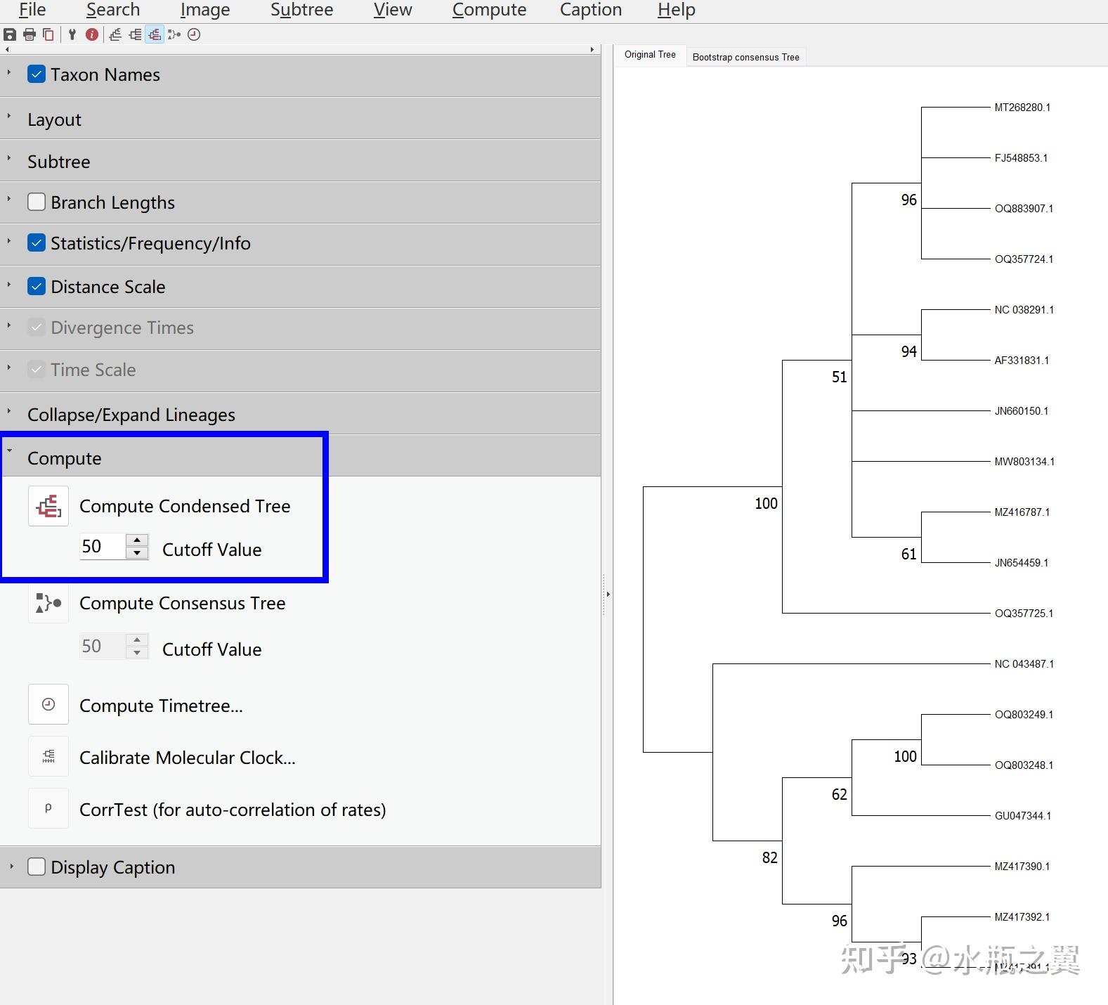 手把手教你绘制进化树（理论与实践） - 知乎