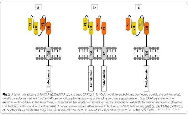 CAR各个模块的总结（包含最近的发现） - 知乎