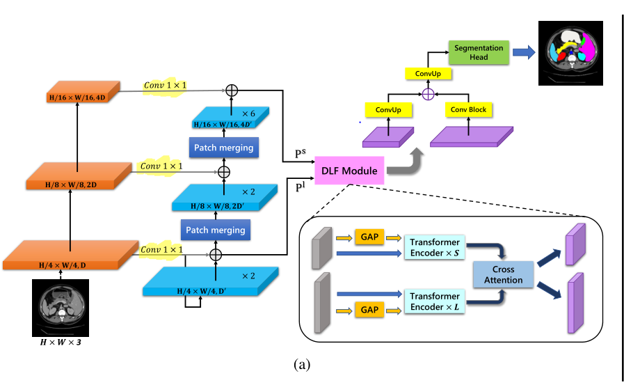 HiFormer: Hierarchical Multi-scale Representations Using Transformers ...
