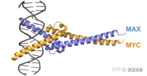 《普创新》全面助力新药研发，挑战“不可成药”靶点之_C-Myc - 知乎