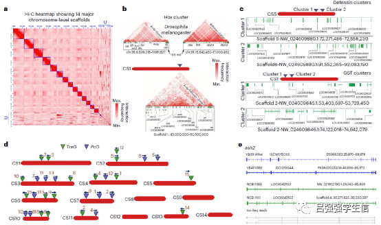 高质量的肩突硬蜱基因组促进了蜱类科学的发展 - 知乎