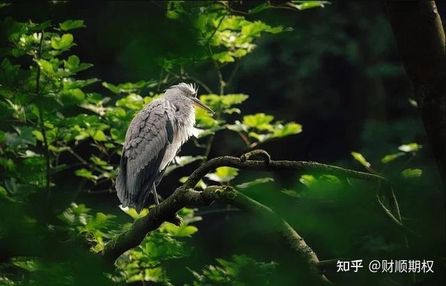 上证50etf期权必懂的交易规则有哪些？ - 知乎