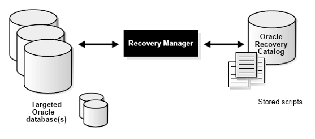 Oracle RMAN(Recovery Manager) – 备份集备份与镜像复制备份 - 知乎