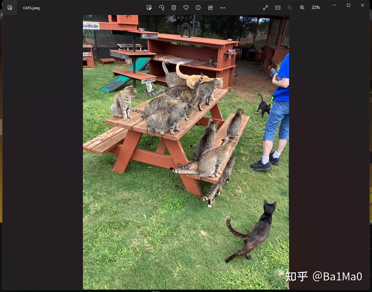 通过一张照片来定位拍摄地点和网站的域名 LA CTF 2023 - 知乎