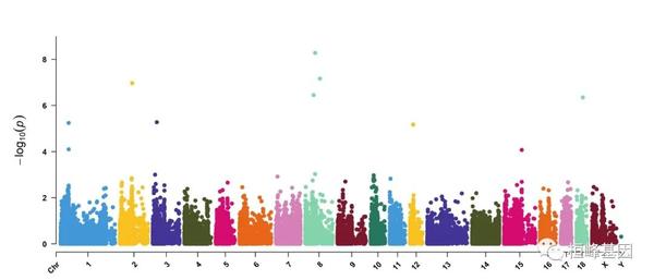 DNA 12. SCI 文章绘图之全基因组关联分析可视化(GWAS) - 知乎