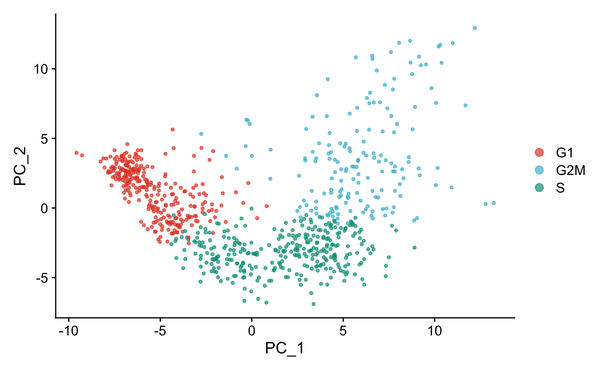 🤫 Seurat | 强烈建议收藏的单细胞分析标准流程（细胞周期的影响去除）（三） - 知乎