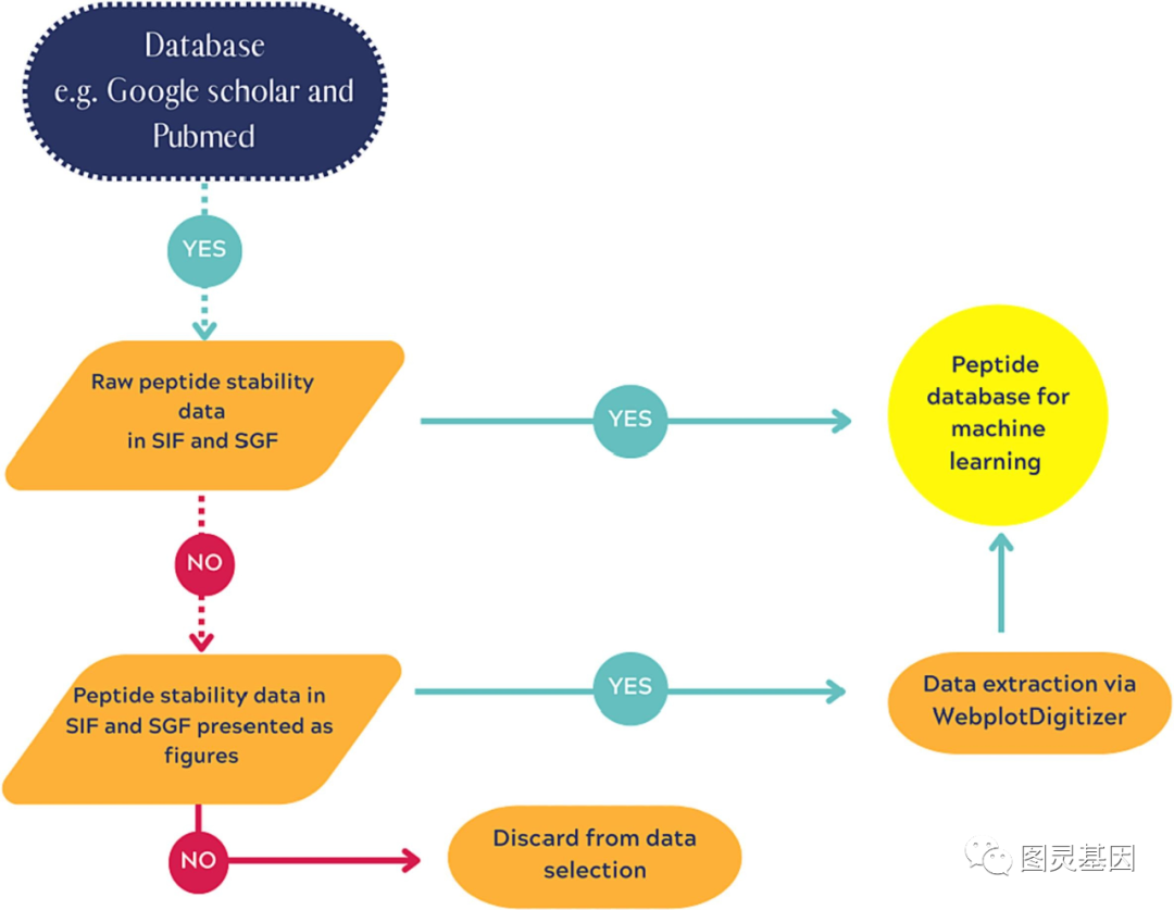 IJP | AI预测多肽药物在胃肠道的稳定性 - 知乎