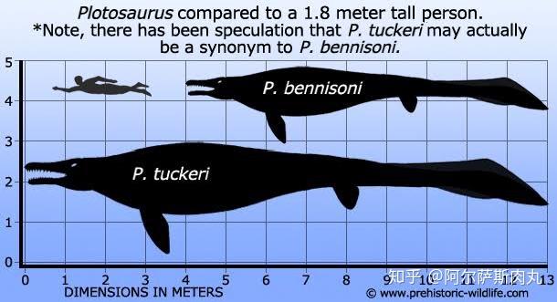 「Legend of Cretaceous丨白垩传 4」沧海沉浮（下）：龙游四海 - 知乎