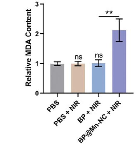 【Experimental Section】MDA Level Measurement - 知乎