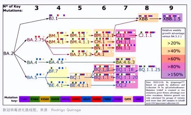 令人闻风丧胆的XBB来了？我看看是谁跟风买了尿不湿！ - 知乎