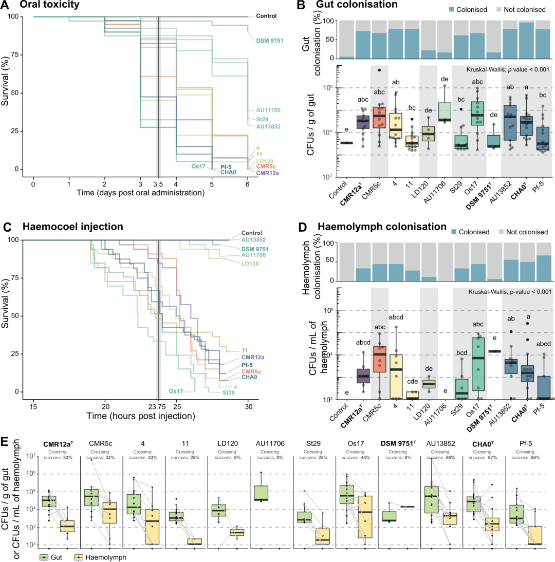 ISME | 研究揭示植物相关细菌抑制病原菌和杀伤害虫的能力与物种多样性的有关！ - 知乎