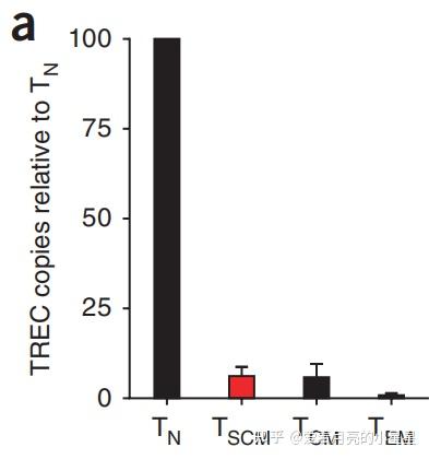 具有干性的人类记忆T细胞 - 知乎