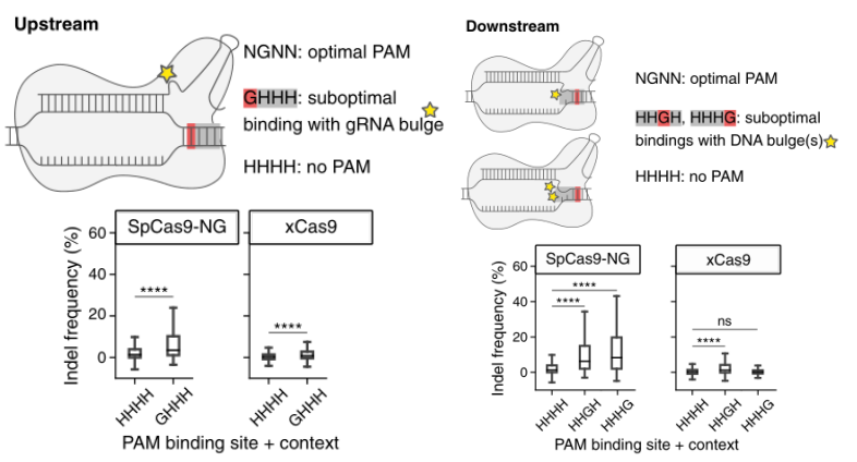 【CRISPR/Cas9】gRNA切割效率低怎么办？ - 知乎