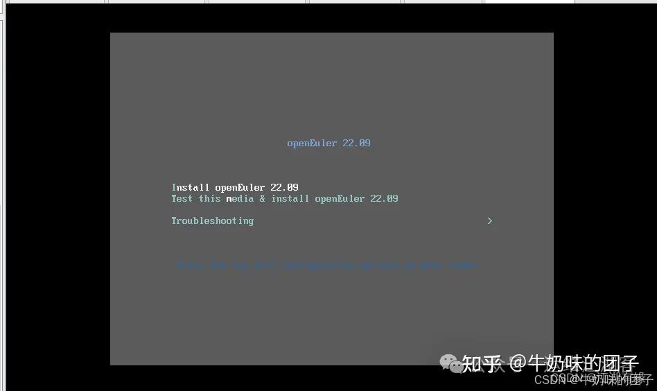 OpenEuler安装部署教程 - 知乎