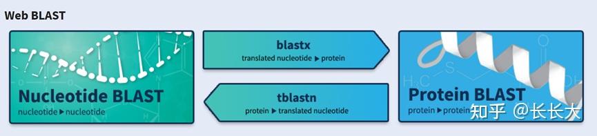 NCBI-BLAST验证引物特异性 - 知乎