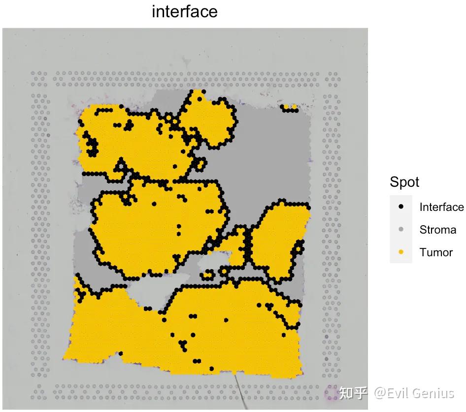 空间转录组数据分析软件推荐---SpaCET - 知乎