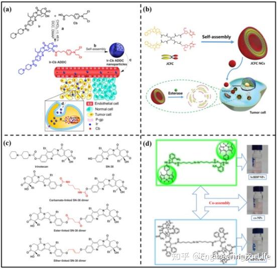 《AHM》综述：药物自给药系统--分子设计、构建策略及生物应用 - 知乎