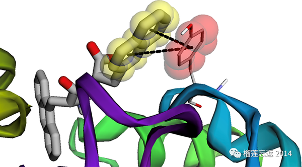 蛋白受体-配体相互作用分析工具BINANA 大升级 - 知乎