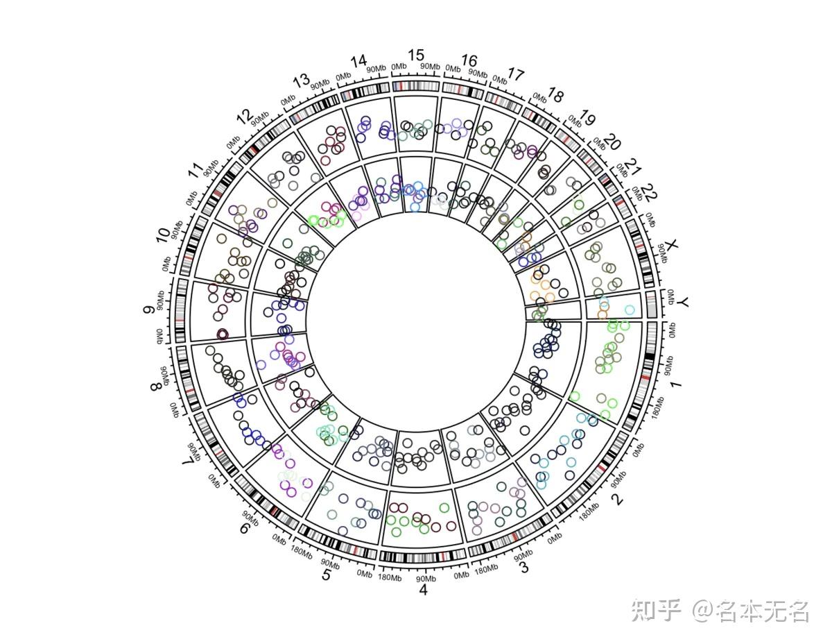 R 数据可视化 —— circlize 基因组绘图函数 - 知乎