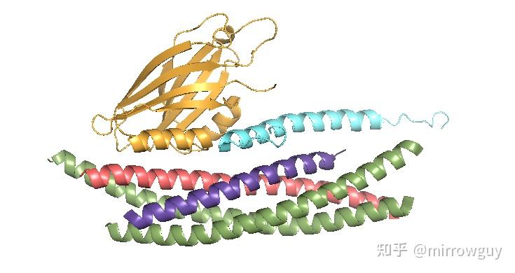 使用PyMOL软件制作文献中的蛋白质结构图 - 知乎
