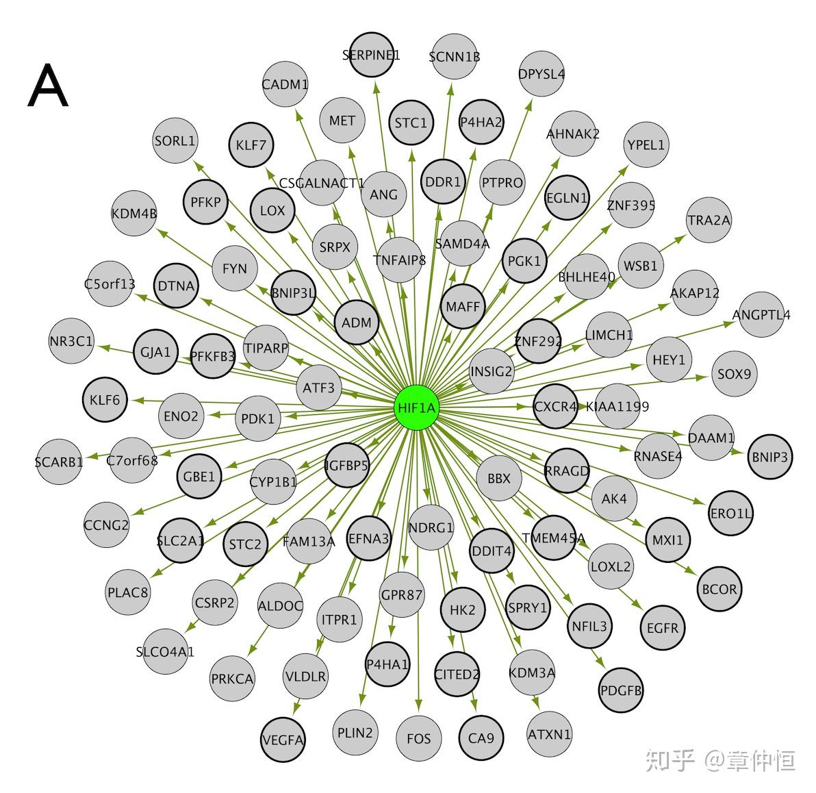 iRegulon：从基因列表到调控网络 - 知乎