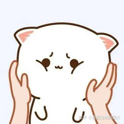 申请秘籍｜关于Argue的那些事儿（更新两名20fall真实argue案例） - 知乎