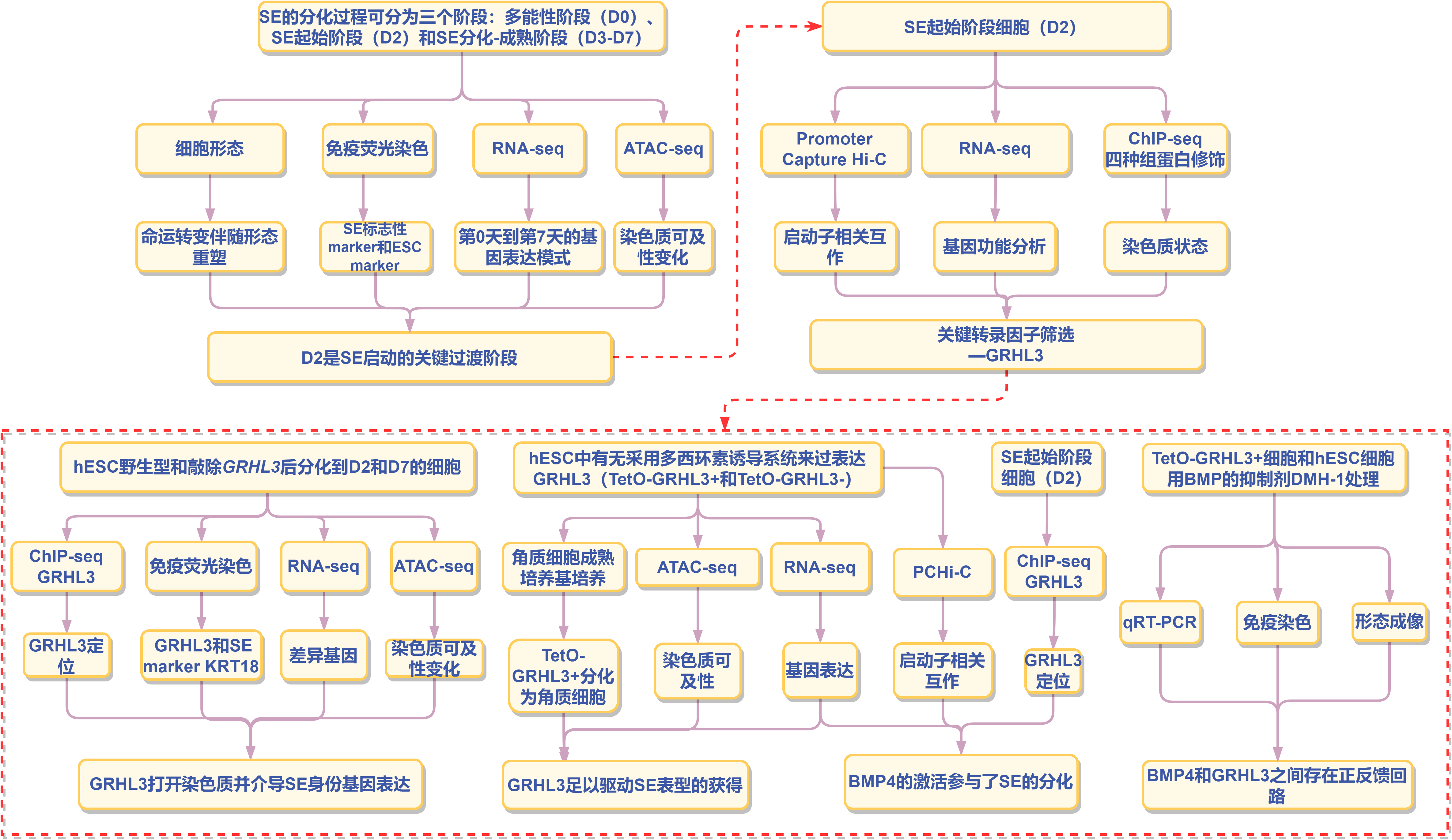 Science Advances项目文章详解丨PCHi-C助力中山大学眼科中心欧阳宏团队解析胚胎表面上皮细胞命运决定机制 - 知乎
