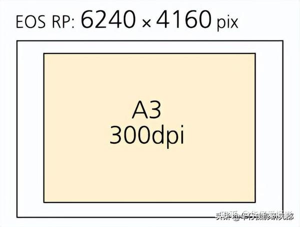EOS R 与 EOS RP：选择哪个？ - 知乎