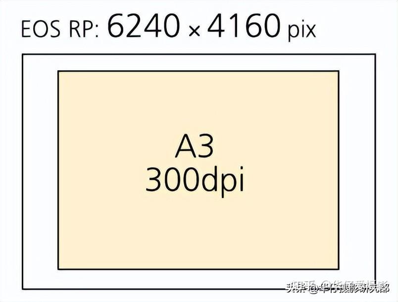 EOS R 与 EOS RP：选择哪个？ - 知乎