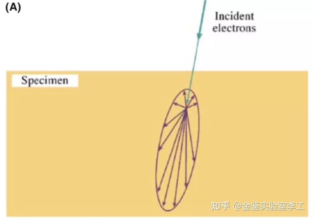 t-EBSD应用 | 同轴透射菊池衍射(TKD)技术 - 知乎