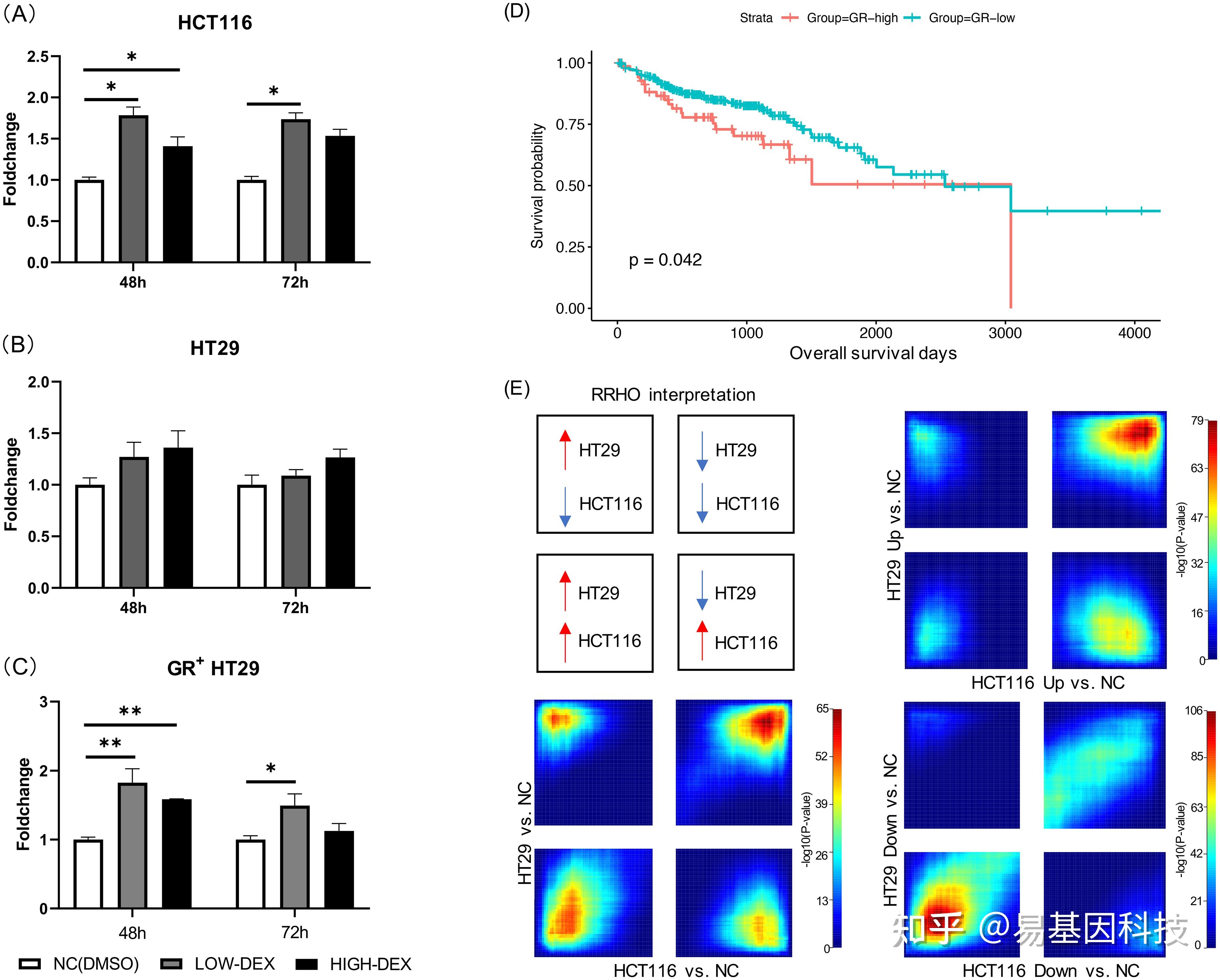 易基因： ChIP-seq等揭示糖皮质激素和TET2共调控促进癌症转移的表观遗传机制｜项目文章 - 深圳市易基因科技 - 博客园