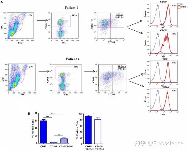 流式课堂 | 巨噬细胞简介及指标选择 - 知乎