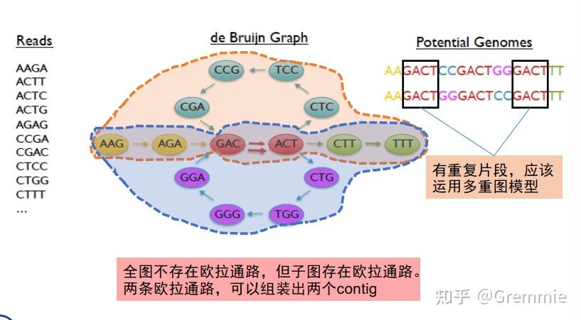 基因组装的概念/算法(OLC,K-mer)详解 - 知乎