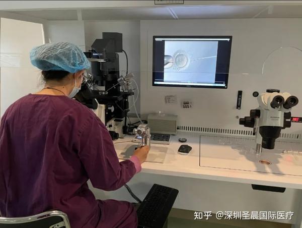 95年年轻夫妻案例分享,染色体平衡易位的试管之路,试管要趁早! 知乎