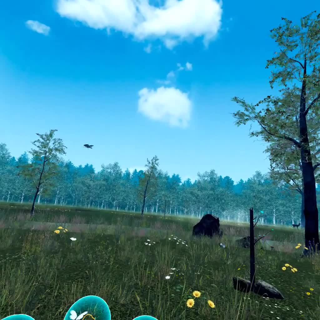 关于Oculus Quest2的使用体验（Nature Treks VR） - 知乎