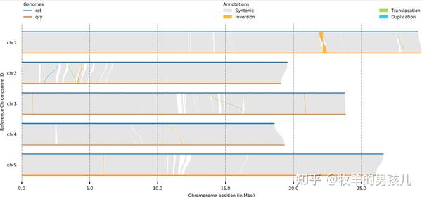 plotsr可视化syri变异检测的结果如何修改图例的排布 - 知乎