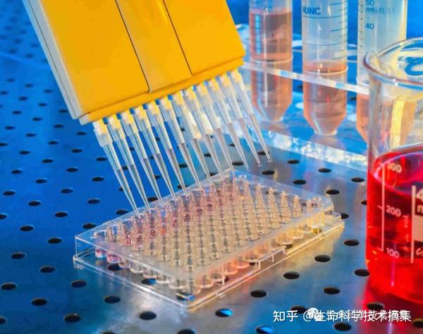 影响ELISA结果的若干内源性干扰因素 - 知乎