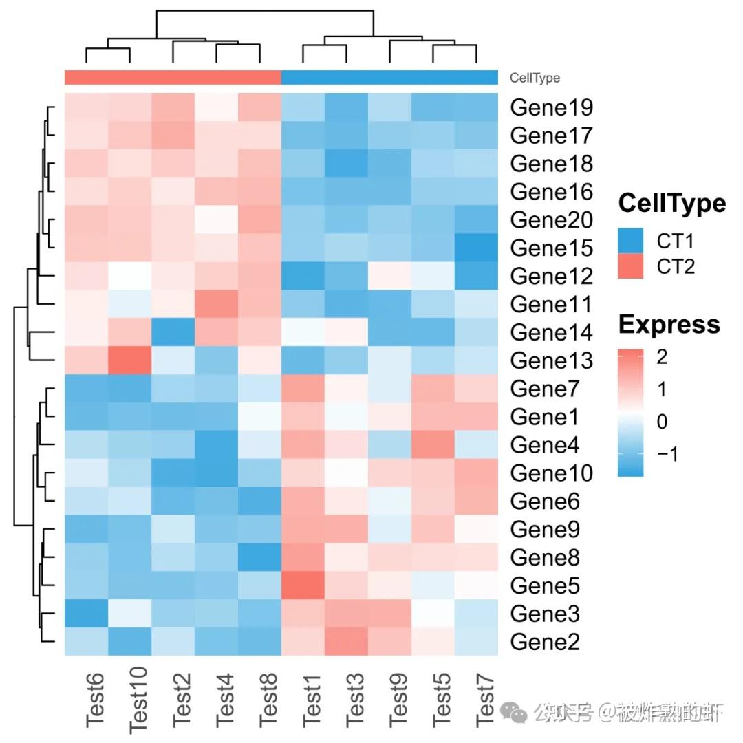 R语言画图 | ggheatmap绘制热图及个性化修饰 - 知乎
