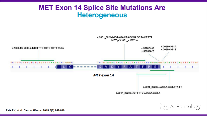 大咖说｜Paul Paik 教授谈 MET 14 外显子跳跃突变非小细胞肺癌（NSCLC）的治疗策略 - 知乎