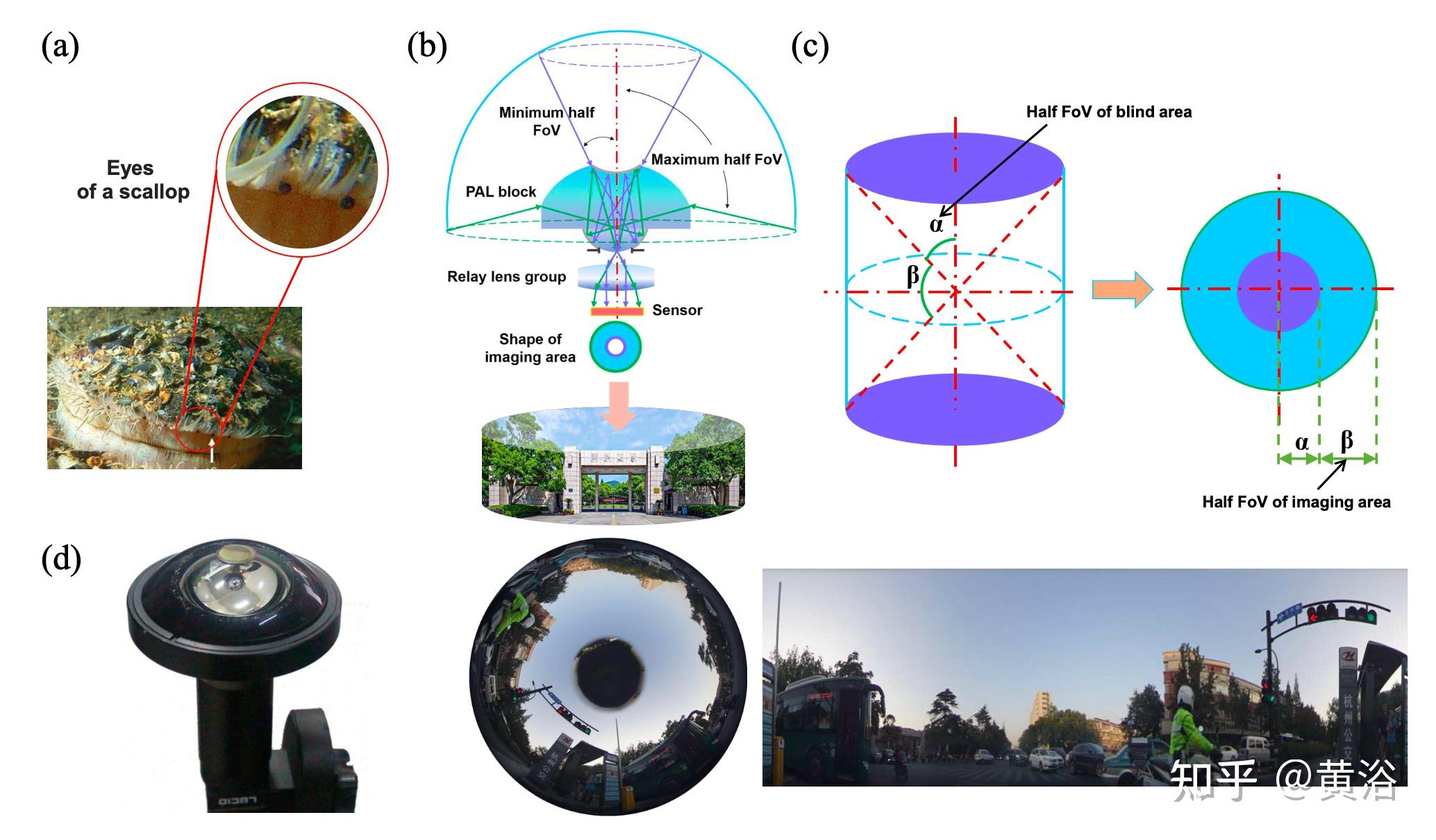 Panoramic Imaging及其应用于场景理解的综述 - 知乎