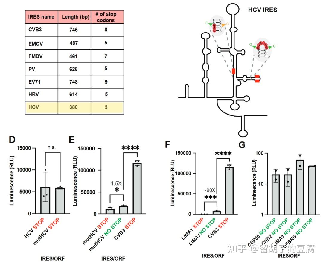 VLP递送Tornado系统表达的circRNA,实现更长久的蛋白表达 - 知乎