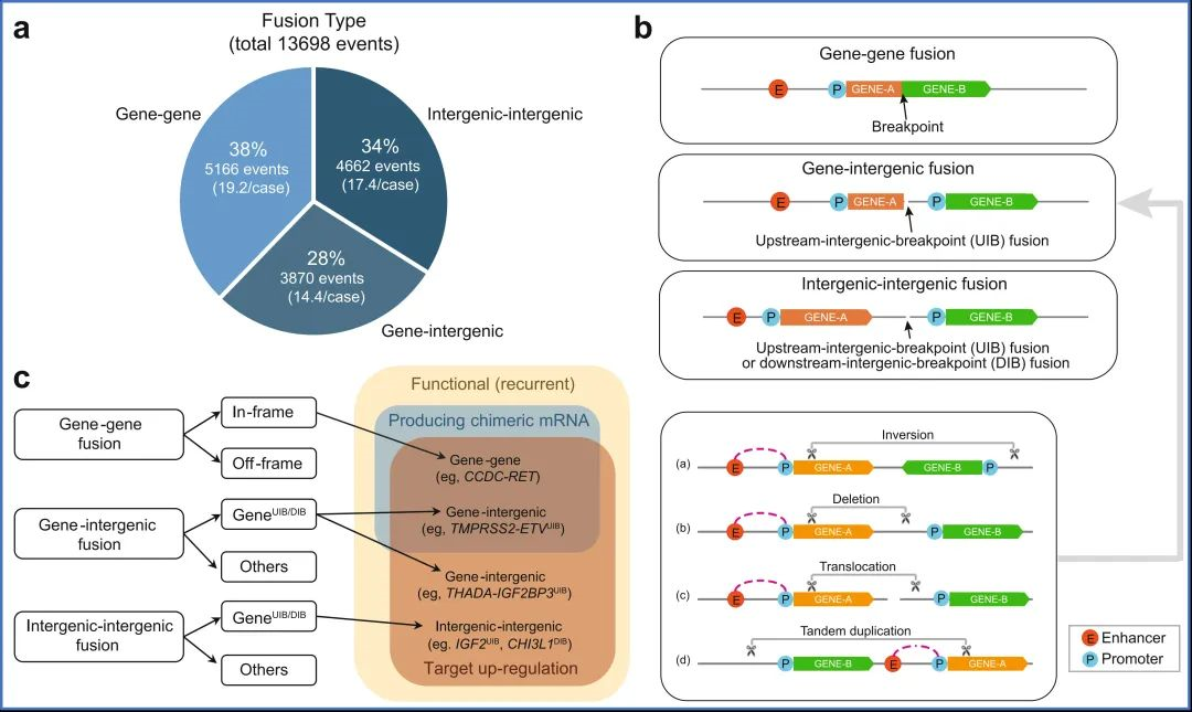 DNA-NGS与RNA-NGS检测融合基因临床意义的对比 - 知乎