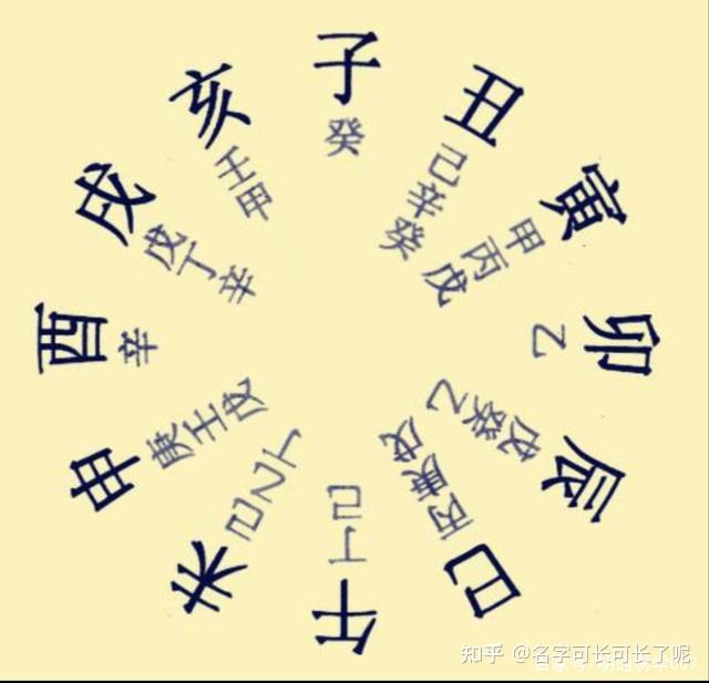 玄学基础知识：认识一下十二地支！ 知乎