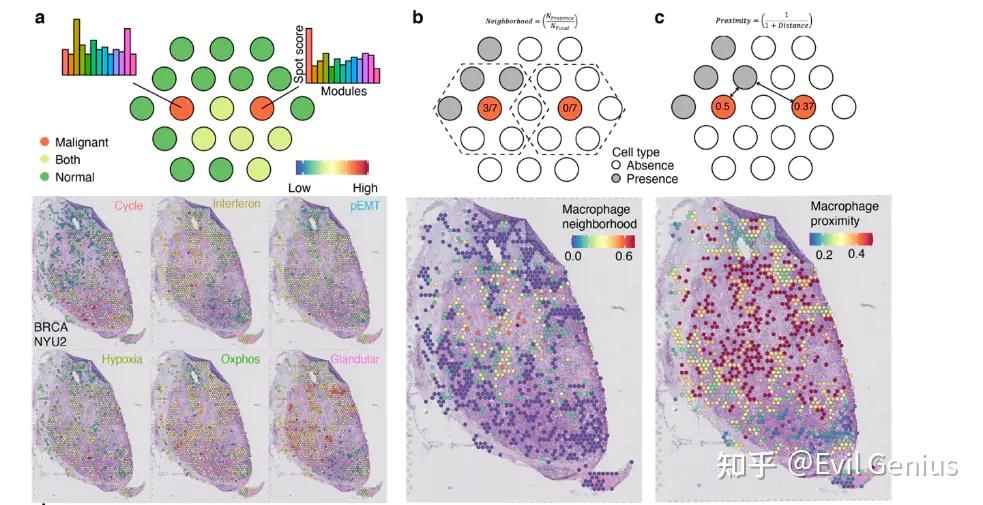 关于10X空间转录组质控分析的讨论 - 知乎