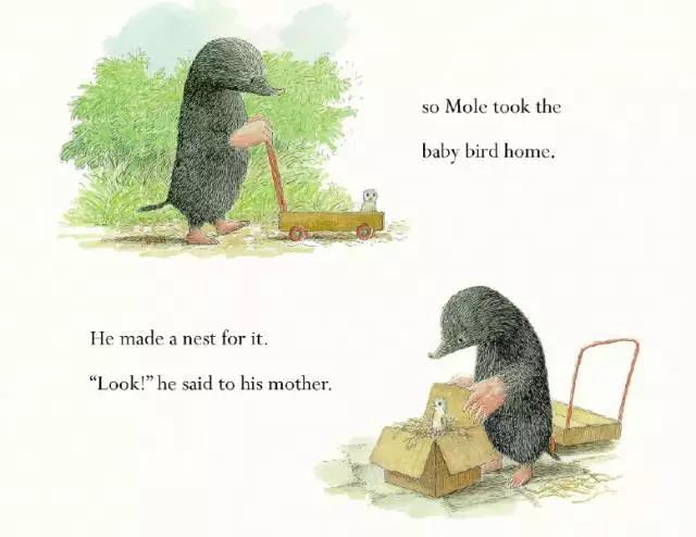 绘本故事 | Mole And The Baby Bird - 知乎